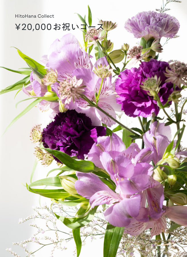 株式会社ワンキャリア 20,000円コース – HitoHana Collect